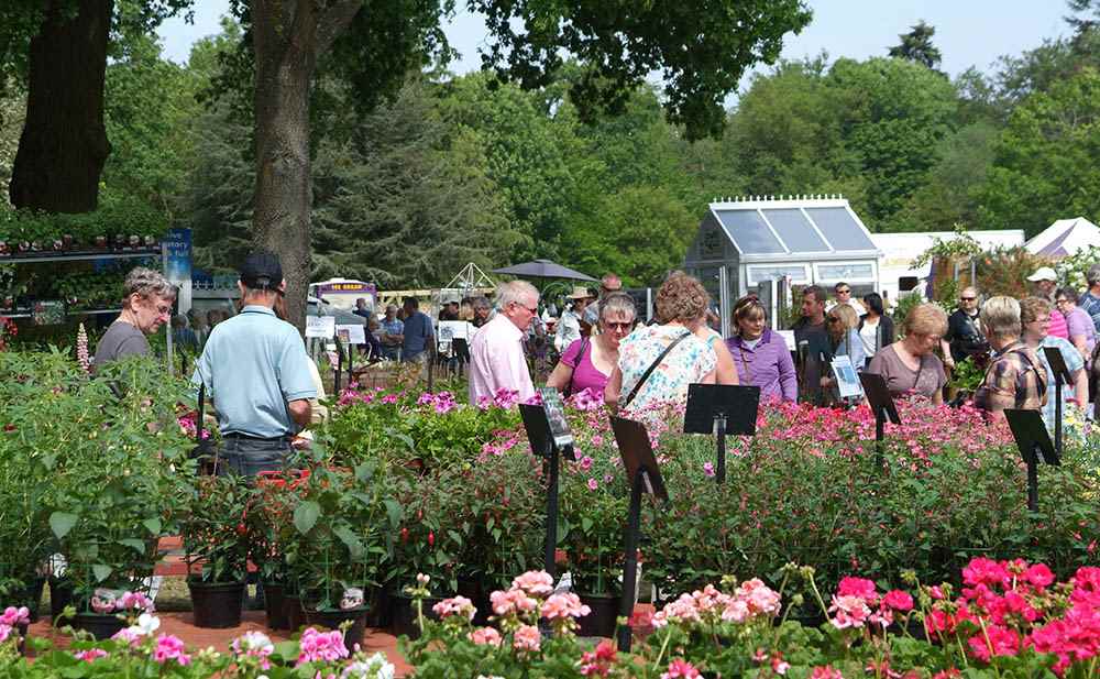 Blenheim Palace Flower Show | Leisuretime